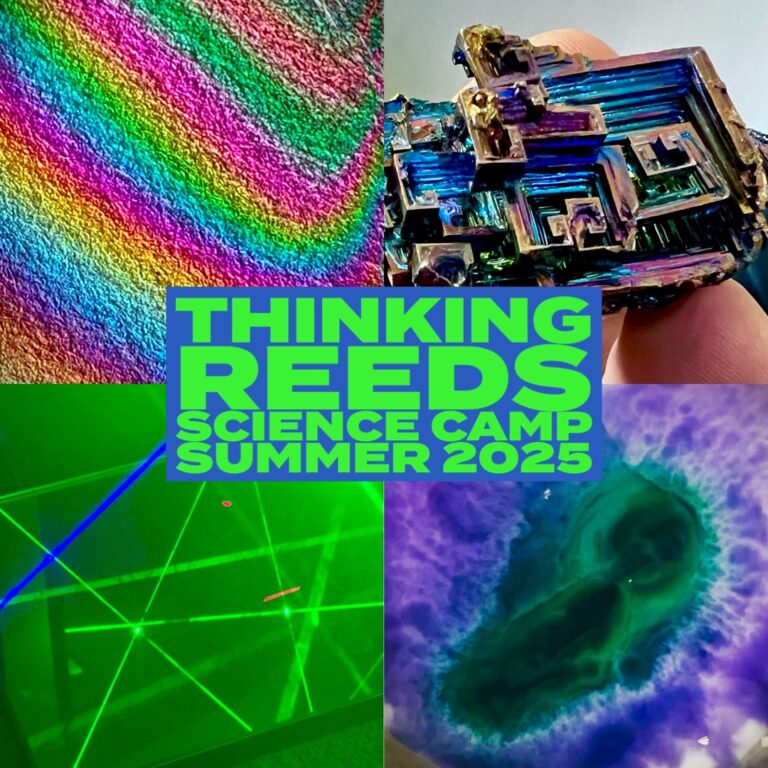 Thinking Reeds Math and Science – Thinking Reeds Math and Science